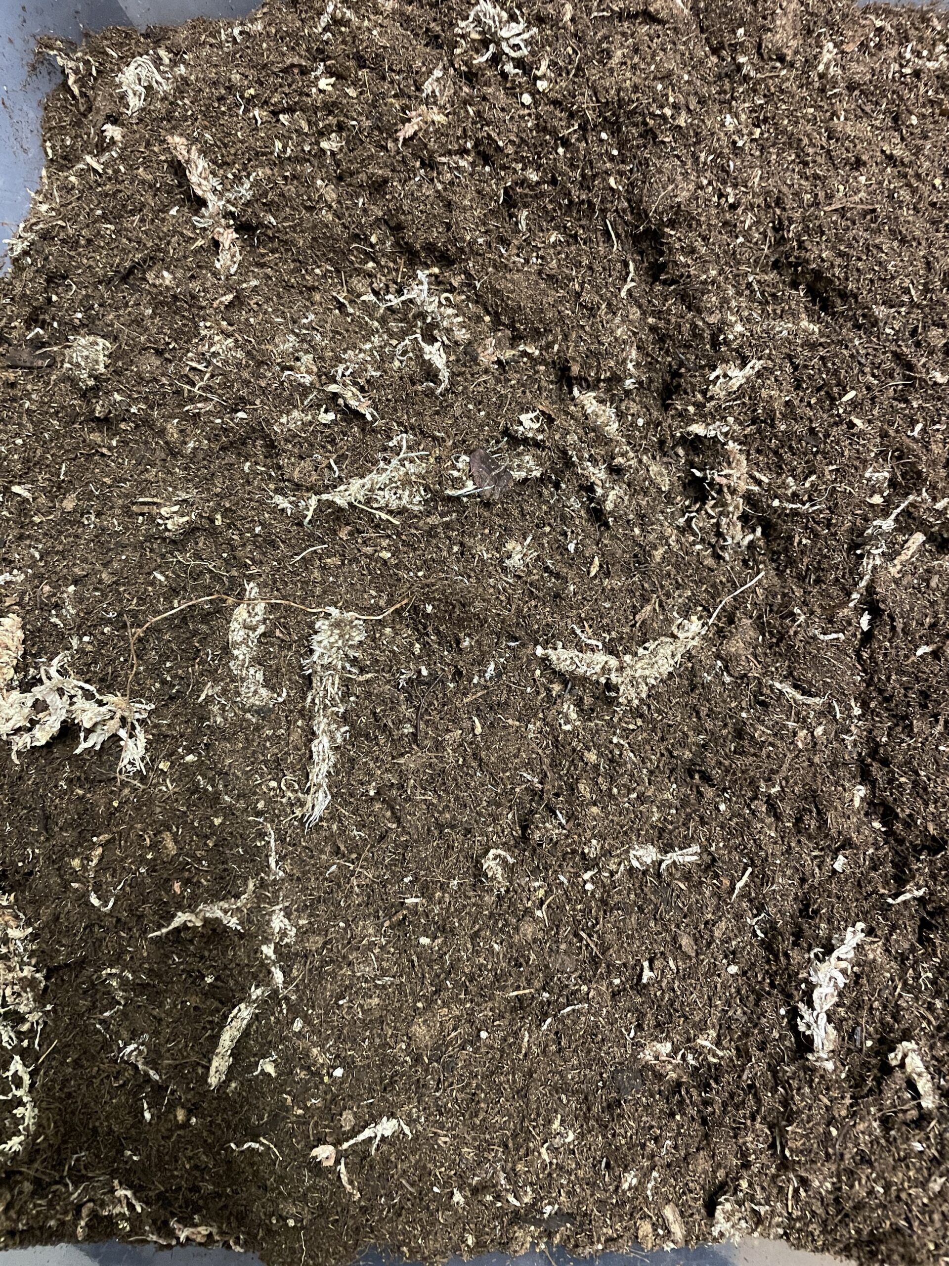 Tropicals - Tropical Terrarium Substrate Mix 8L netistä | Tropicals Oy